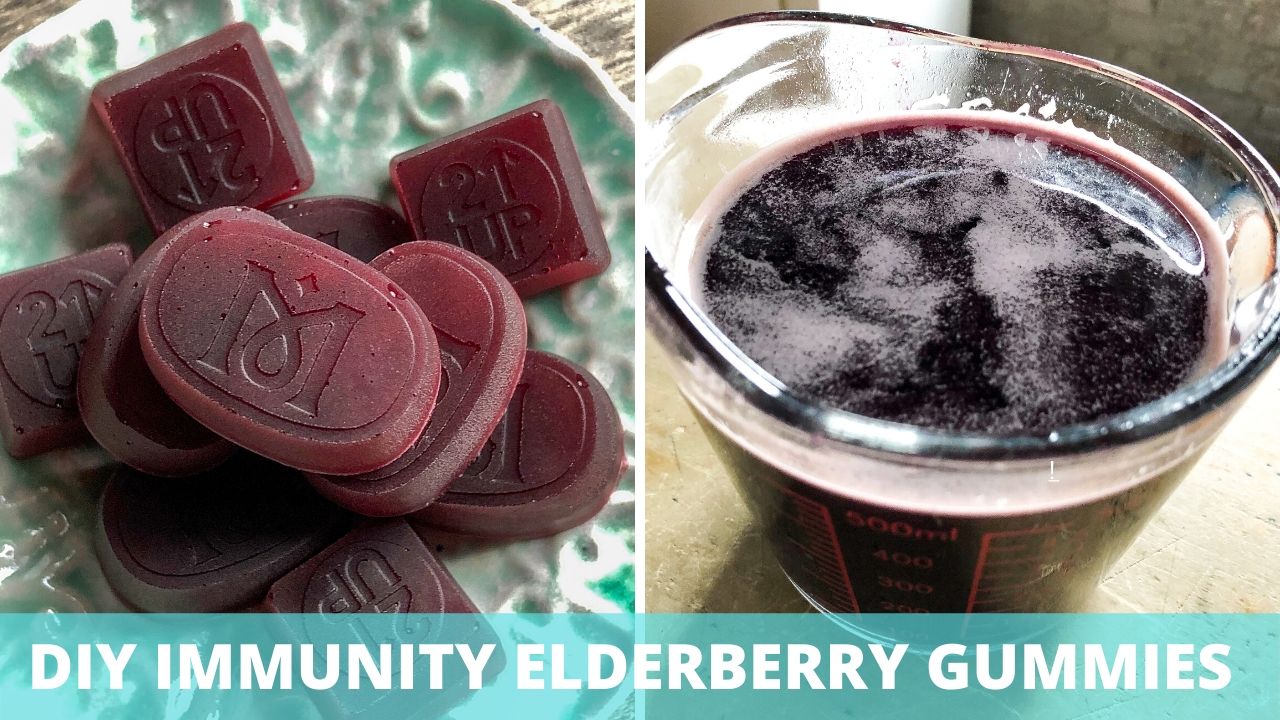 How To Make Your Own Candy: DIY Immunity Elderberry Gummies - Suzie The ...