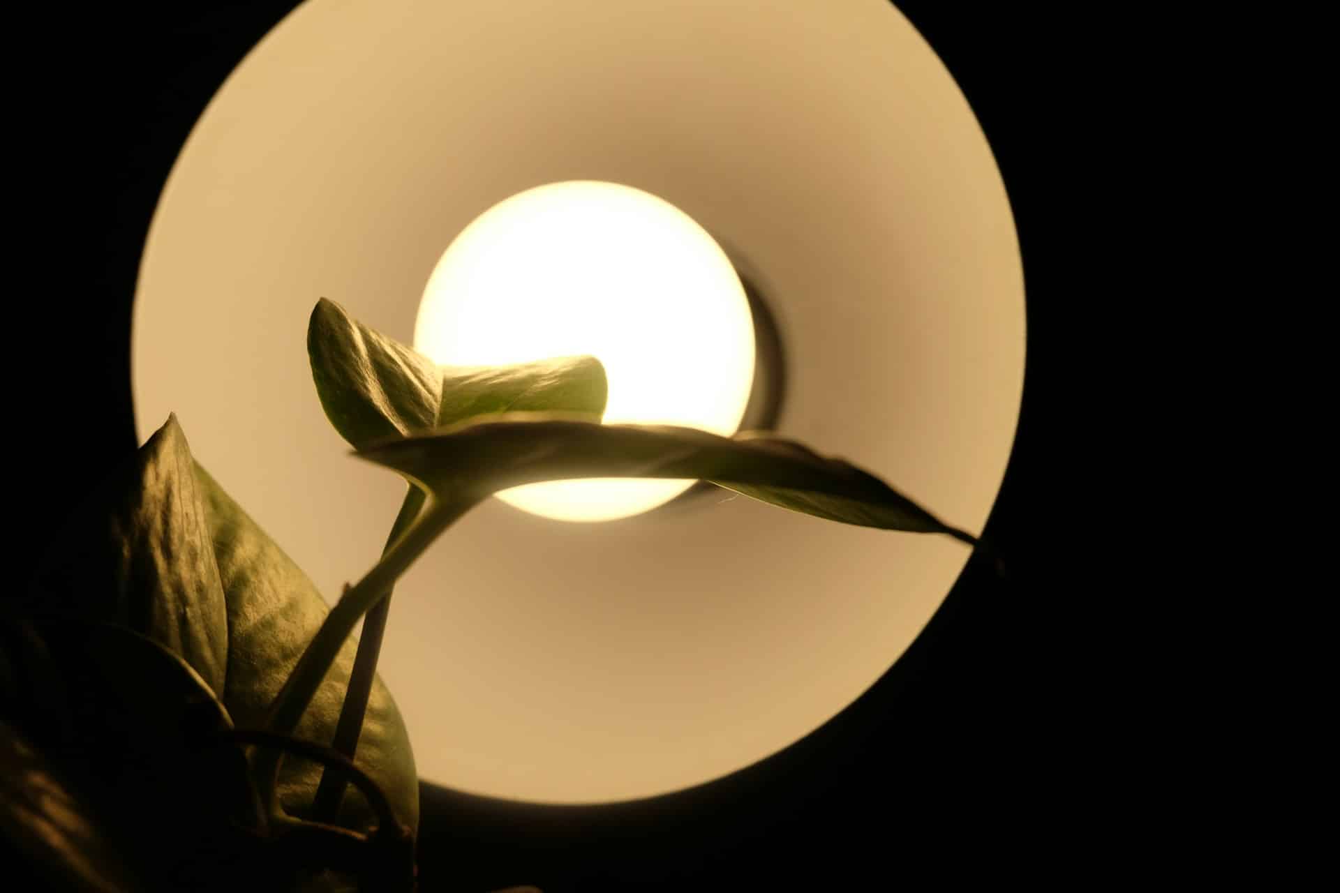 The Smart Homeowner's Guide to Adhesive Puck Light Installation - Suzie ...