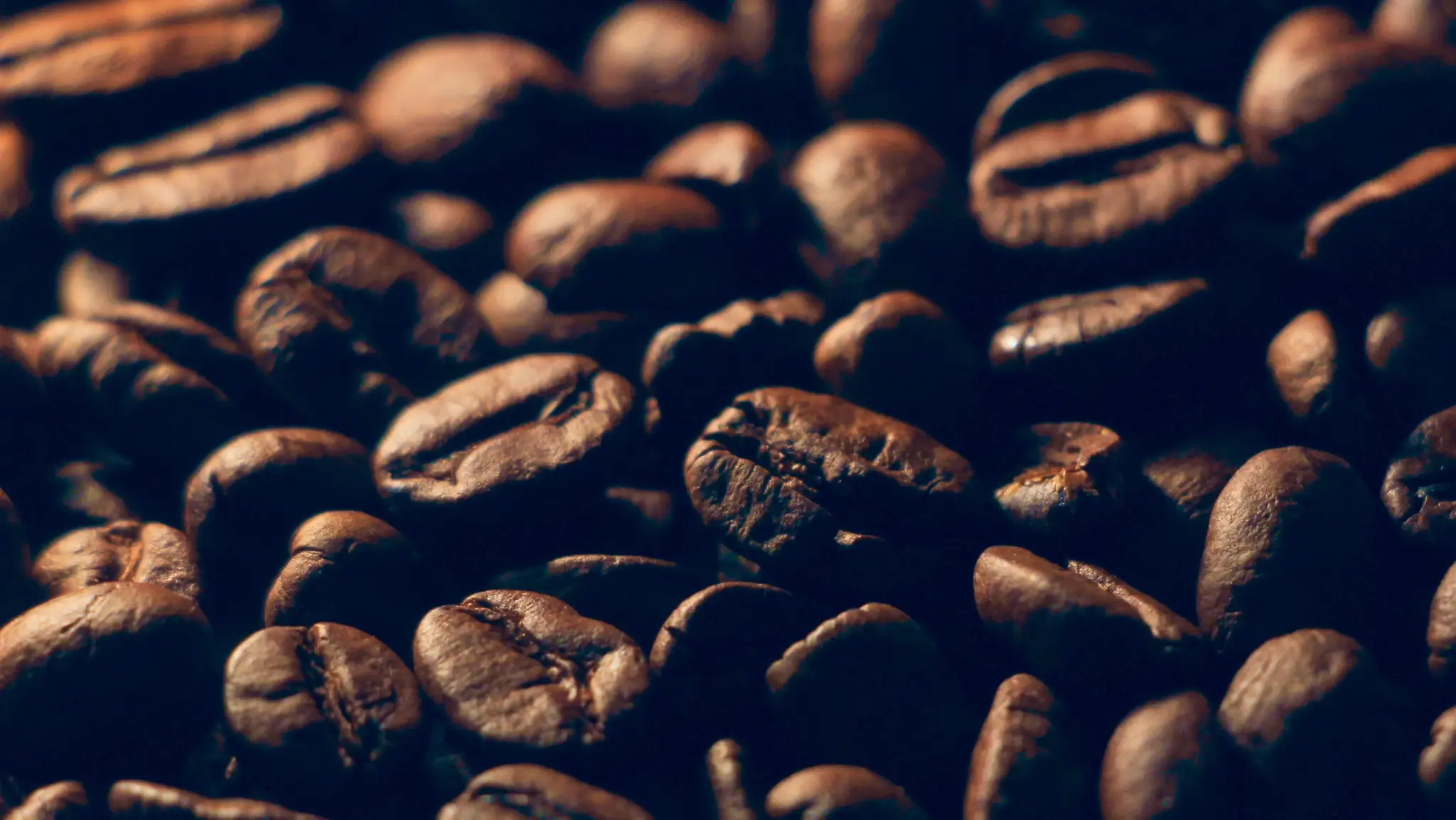 Private Label Coffee 101: How Store Brands Compare to Name Brands